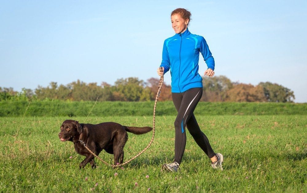 Running With Your Dog | Holiday Barn