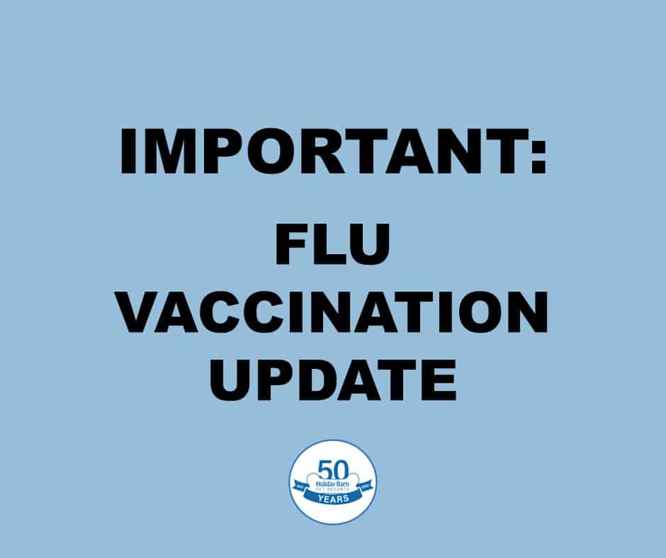 Flu Vaccination Update | Holiday Barn Pet Resorts